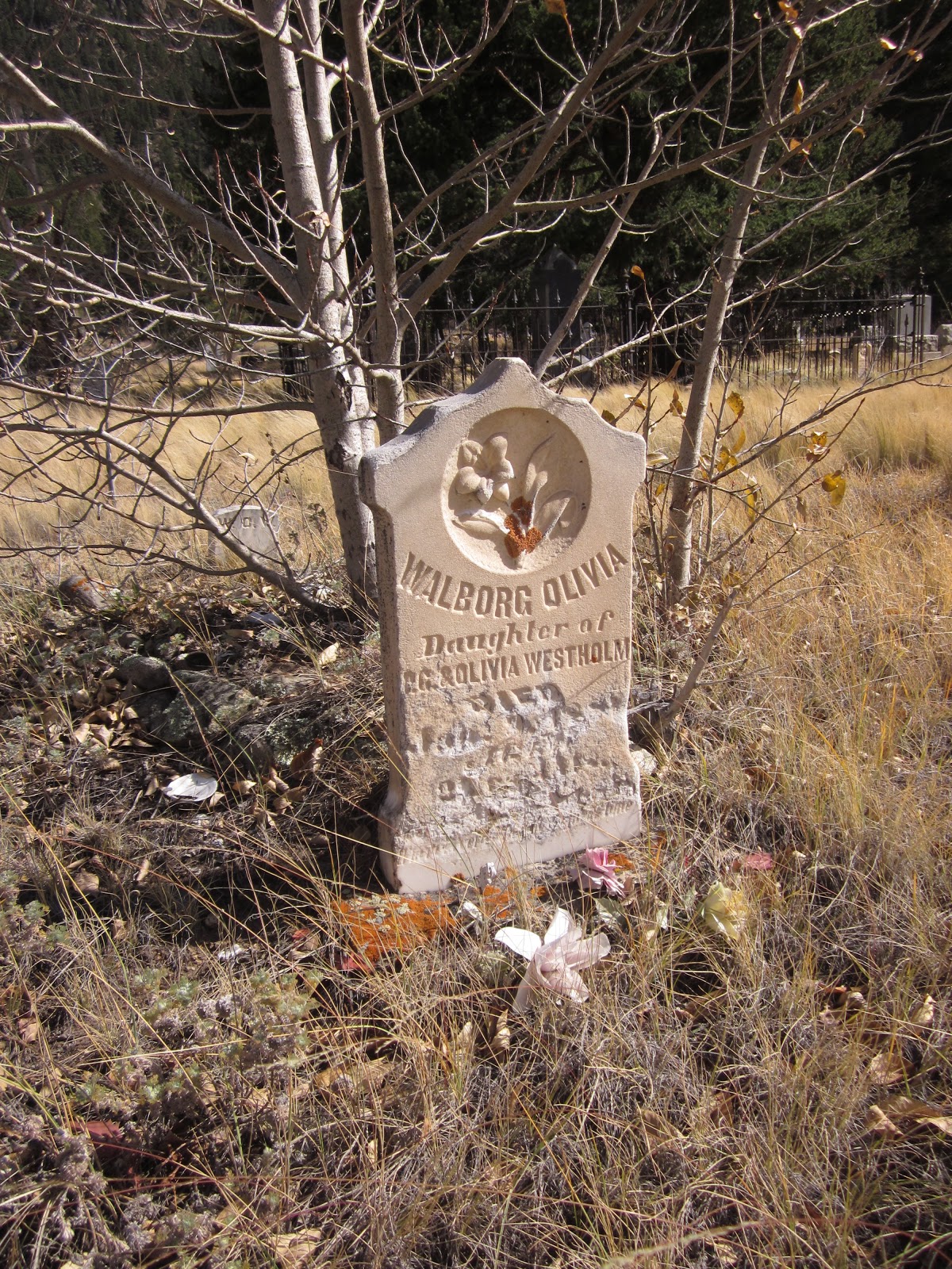 The Land of Melting Shadows: Georgetown Cemetery