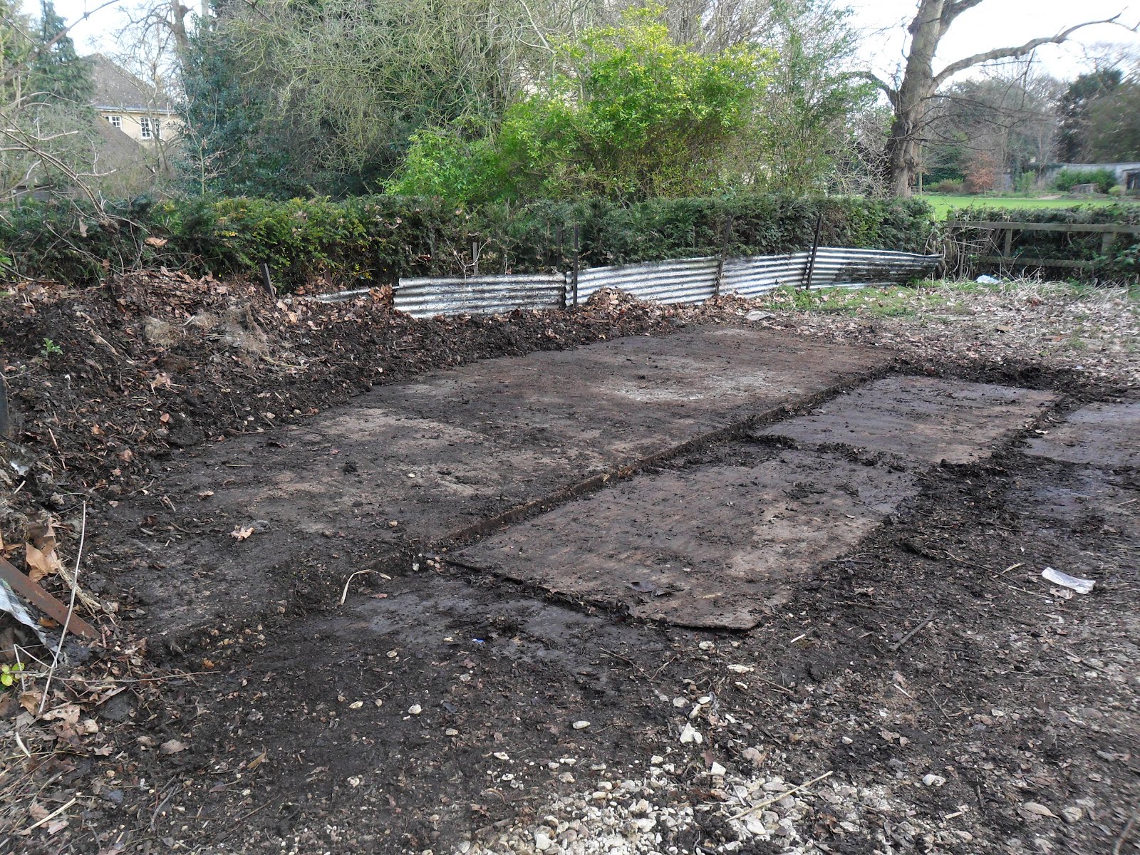 Worcester College Gardeners 2009-2018: Pruning and Pit Preparation