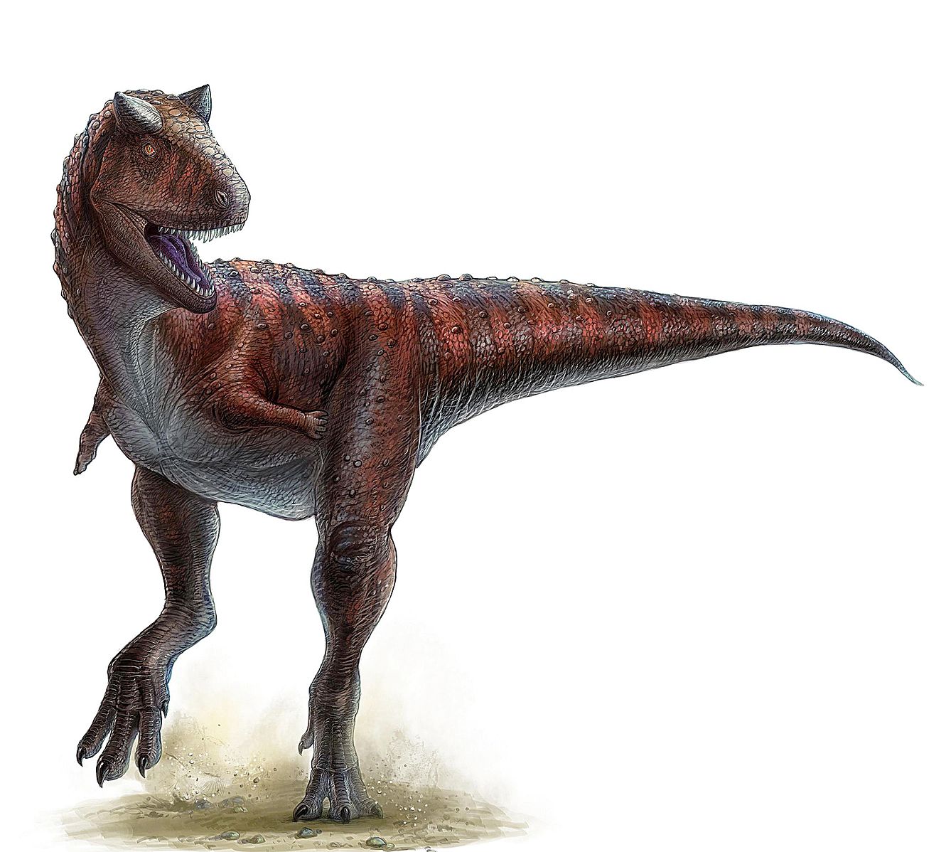d20 Despot: Monster Monday: Carnotaurus, the Horned Predator