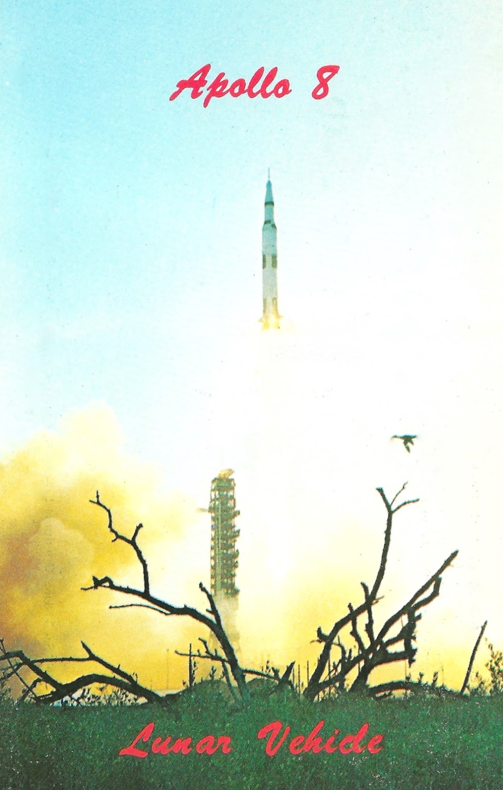 My Favorite Postcards: Three Vintage Postcards of Apollo 8