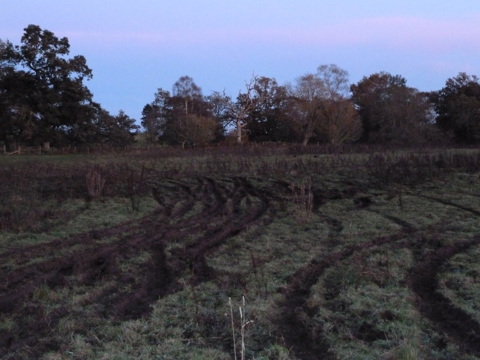 The farm at the back of beyond: Roups and ruined pastures.