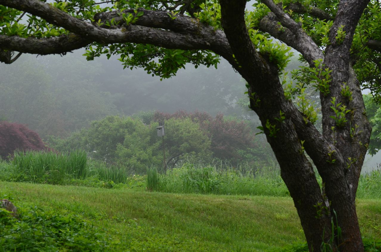 Flower Hill Farm: Drops Of Time Caught In The Mist Garden Facades