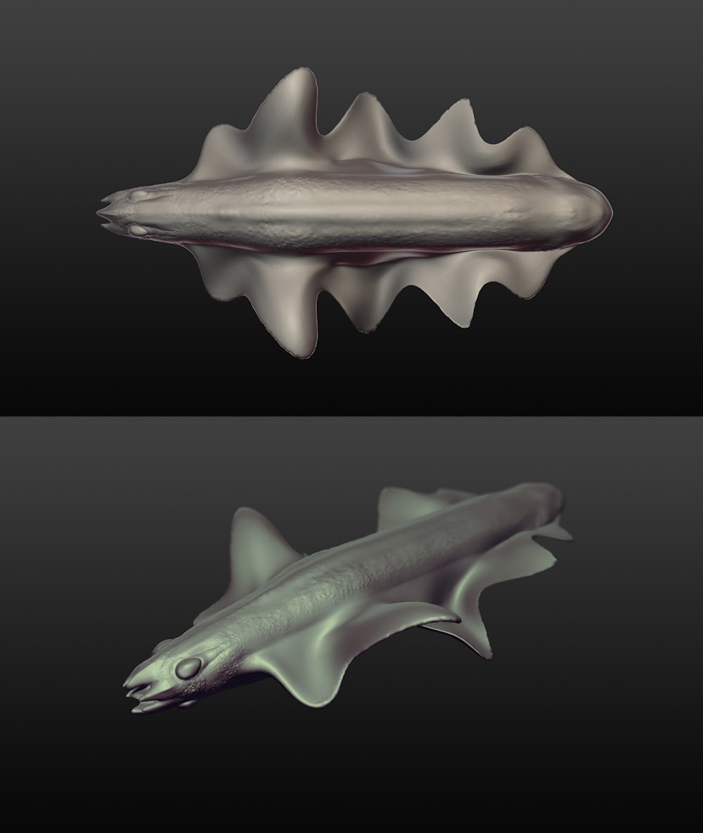 Furahan Biology and Allied Matters: The 'lateral fin theory' and ...