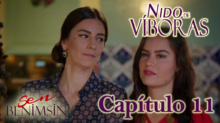 Nido de Víboras - Capítulo 11 - Nido de viboras