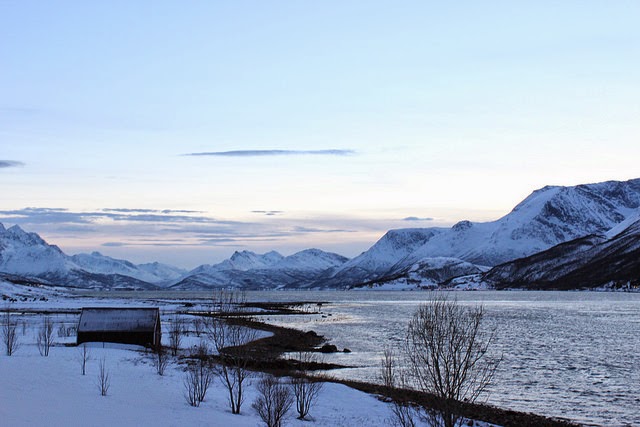 e_ting: Scandinavia - Yes, Fäviken and Frantzén, but so much more