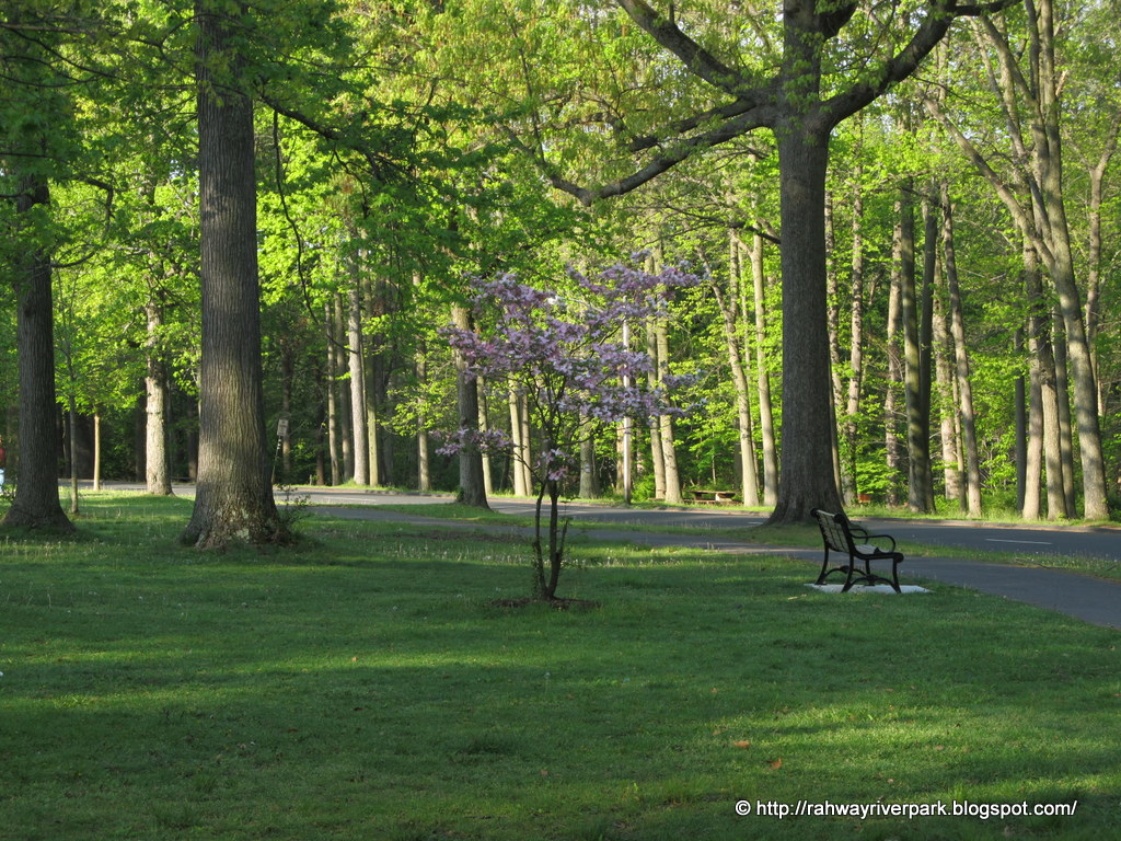 4 seasons in the life of Rahway River Park: April 2012