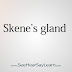 Skene's gland
