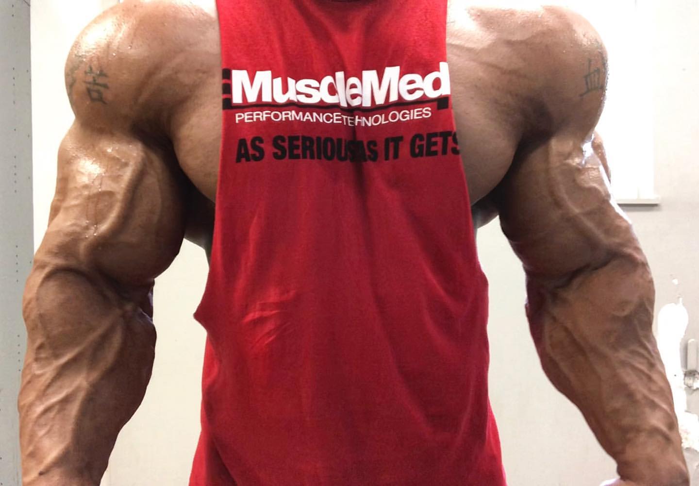 the beauty of male muscle: Shawn