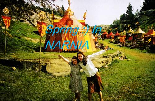 The Chronicles of Narnia: Chapter 11