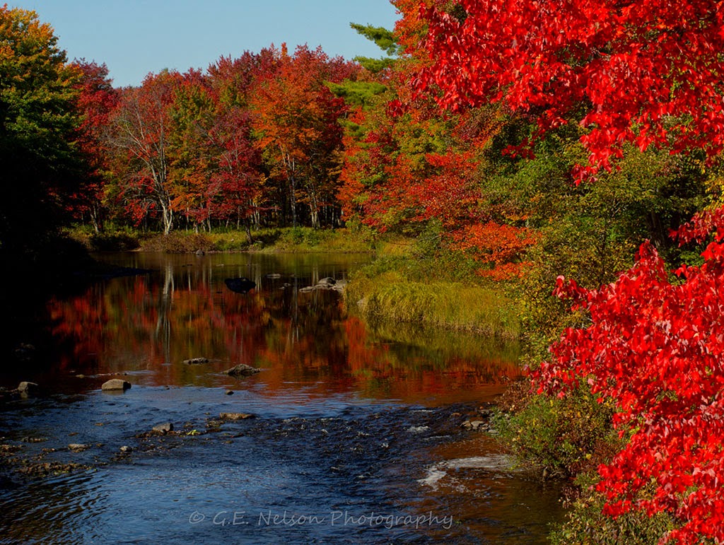 Erika's Chiquis: Fall in Maine