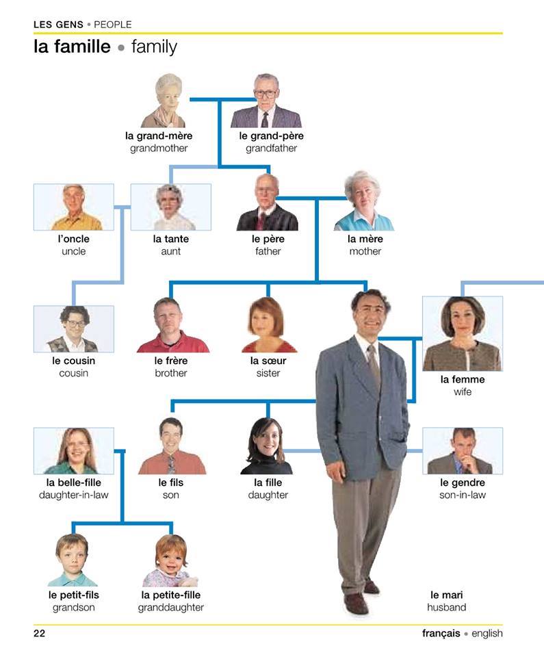Le français utile: La famille (Mon arbre généalogique). Les liens de ...
