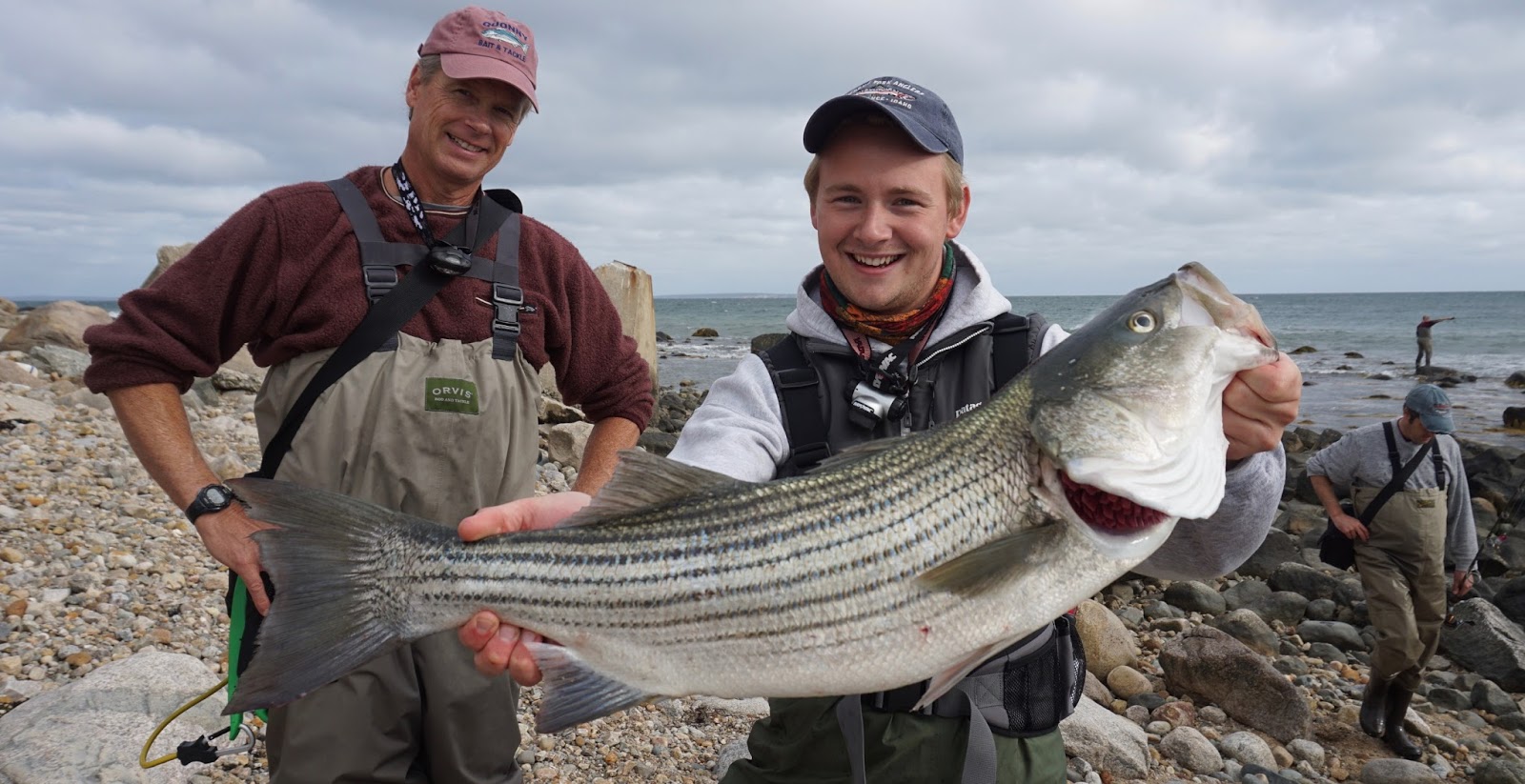 The Composted Works of Ken Johnson: Fish Guts