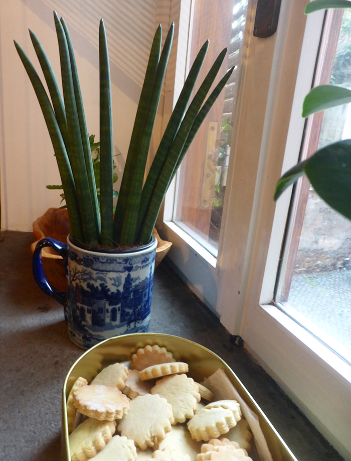 AAA ACCADEMIA AFFAMATI AFFANNATI: Karamonk scraps, biscotti al ...