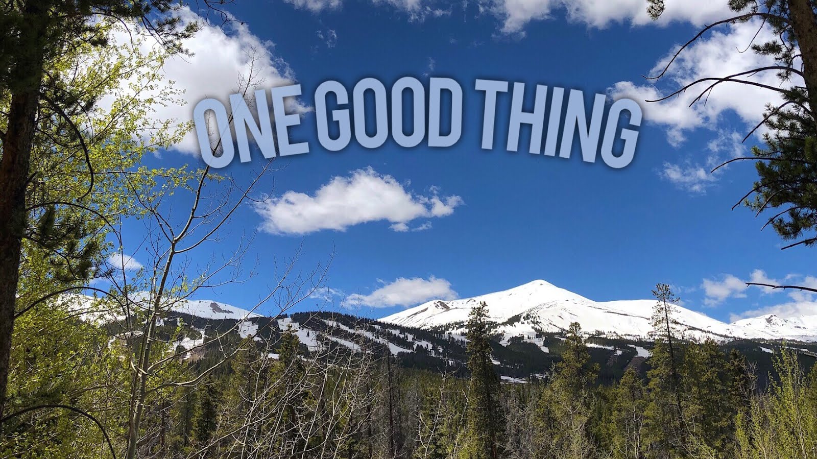 One Good Thing: Life as Story