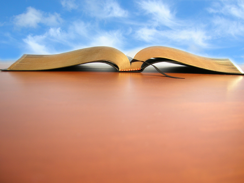 bibles-for-sale