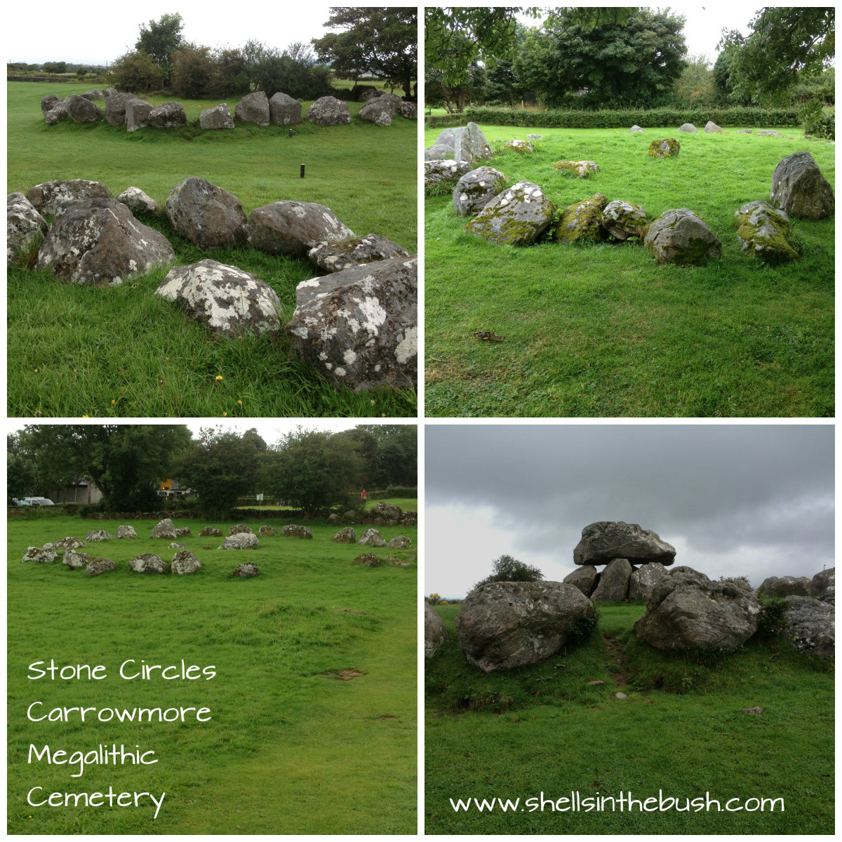 Shells in the Bush: What's the craic in Ireland