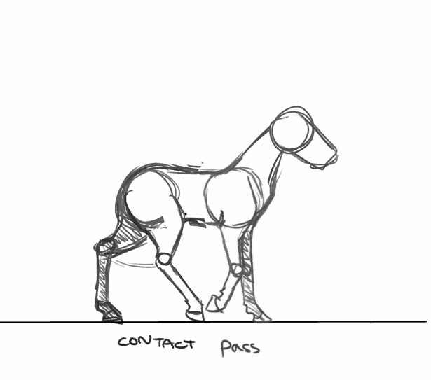 3D Animals in Motion : Horse walk test 2D