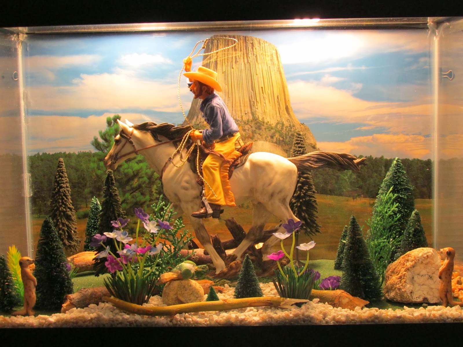 Scenic Night Light: Western