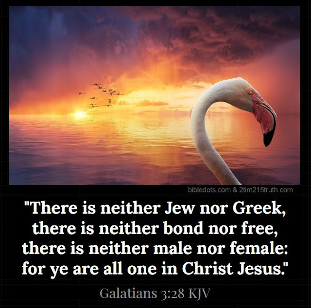 2 Timothy 2:15 Truth: Verse of the Day: Galatians 3:28 KJV