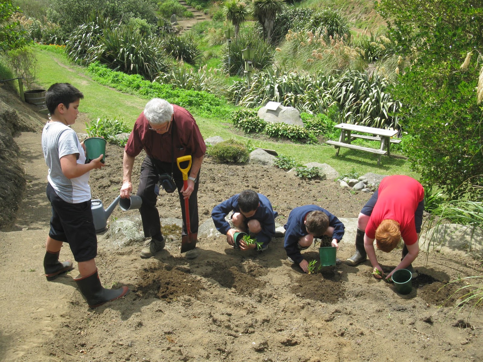 Habitat Heroes - Hawera Christian School: Conservation