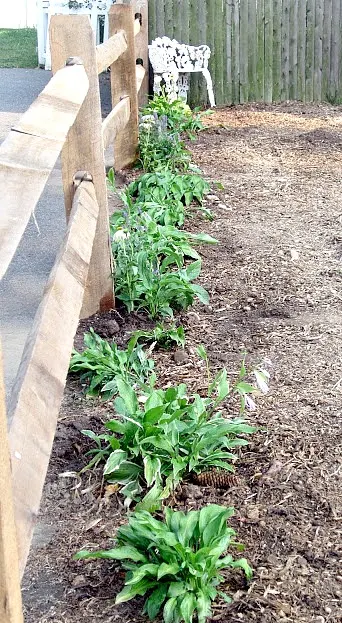 How to Build a Post and Beam Fence