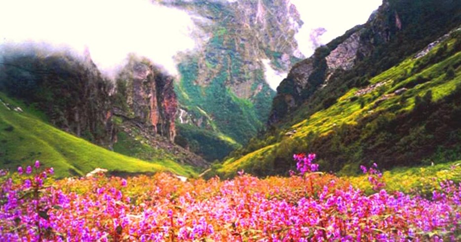The Amazing World : Valley Of Flowers National Park (The Land Of ...