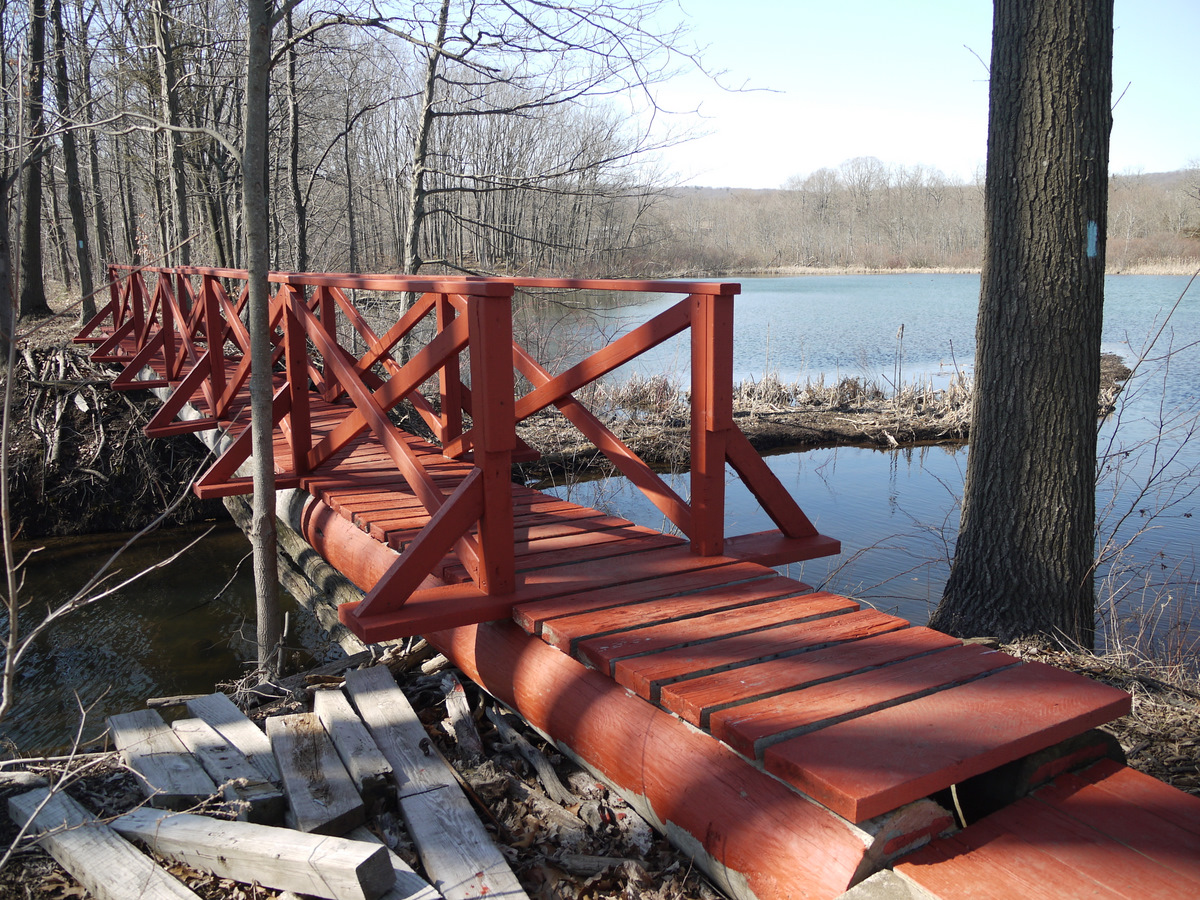 Along the NET-Cohos: Highland Pond to Chauncey Peak, Meriden