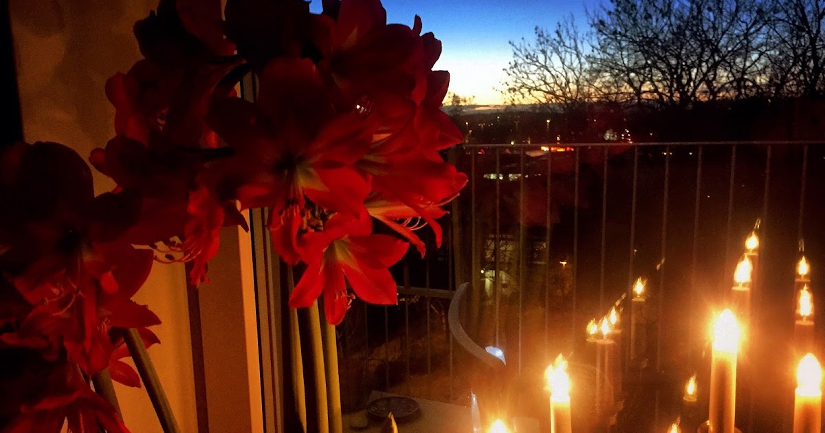 Natur, hälsa och trädgård: en julblomma