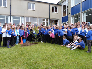 Banff Day Services: Boyndie at Macduff Primary