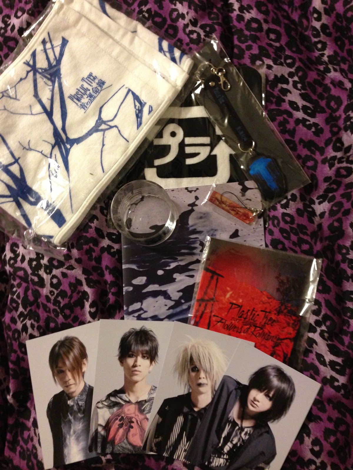Randomness in Random-land : Adventures in Visual-Kei: Plastic Tree