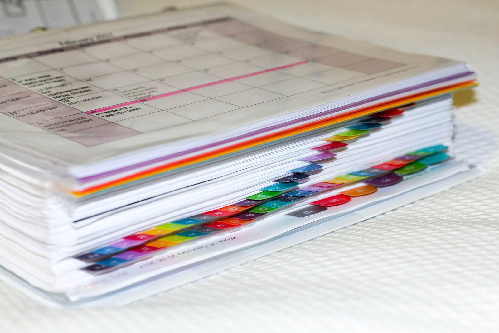 Organized Student Binder