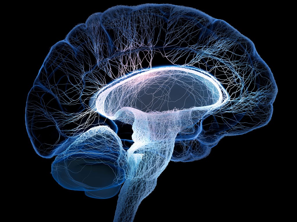CONOCIMIENTO SOBRE EL CEREBRO: 2016