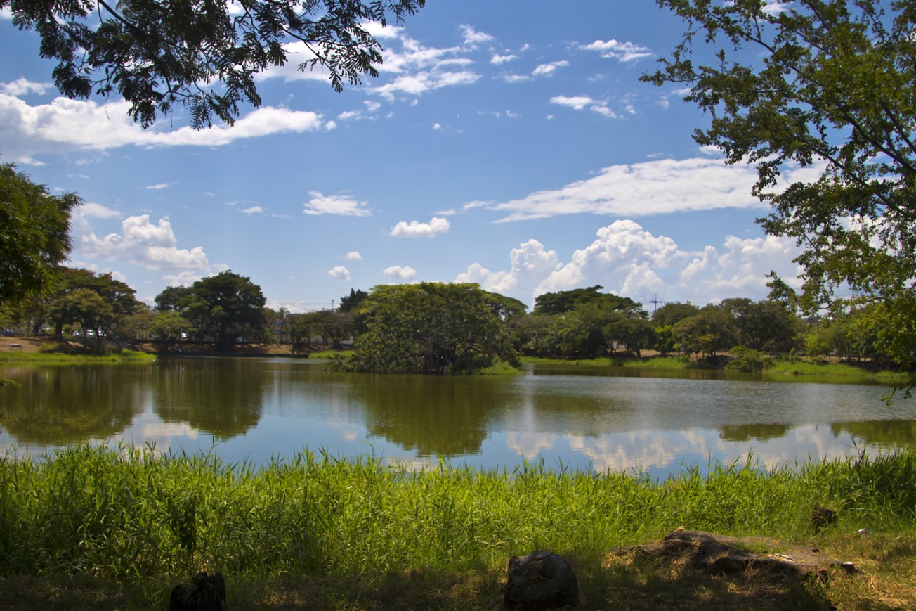 Souvenir Photo Studio, by Al Bourassa: Sunday Jan 27, 2019 Lago Chilicote