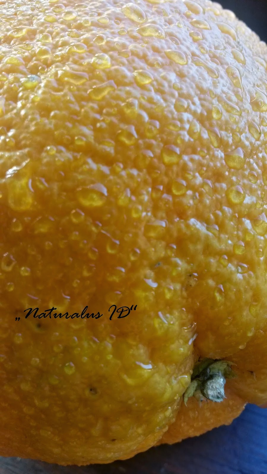 NATŪRALUS ID: Į kovą su celiulitu