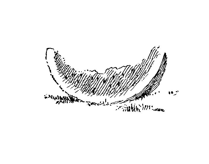 Digital Stamp Design: Free Fruit Digital Stamp: Watermelon Slice with ...