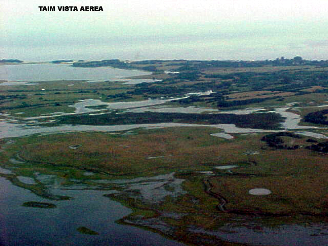O rio grande que poucos conhecem!: Reserva do Taim