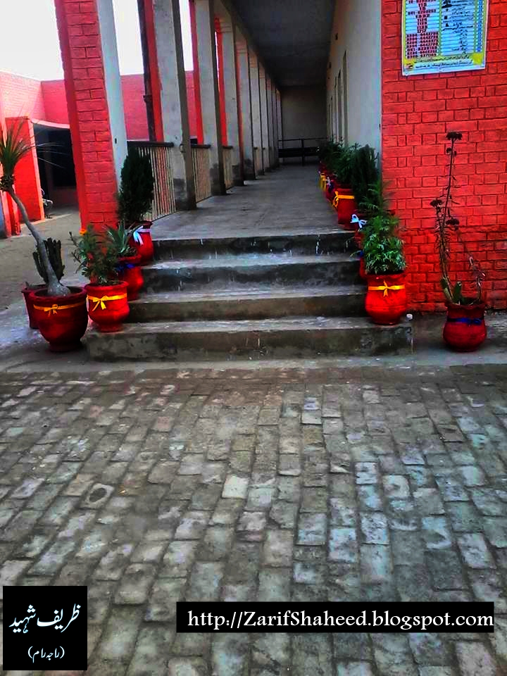 Govt. Girls Higher Secondary School Zarif Shaheed Raja Ram Shujabad ...