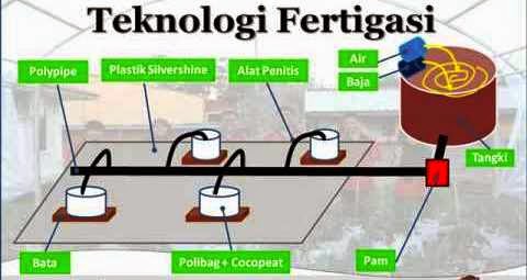 Balkis Sulaiman: FERTIGASI
