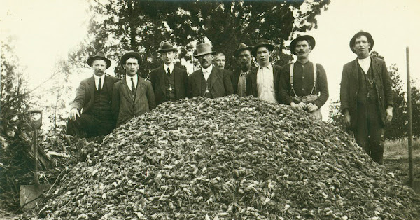 Australia’s Mouse Plagues | Amusing Planet