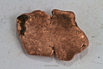 Larry at Larry's Images.com: Float Copper