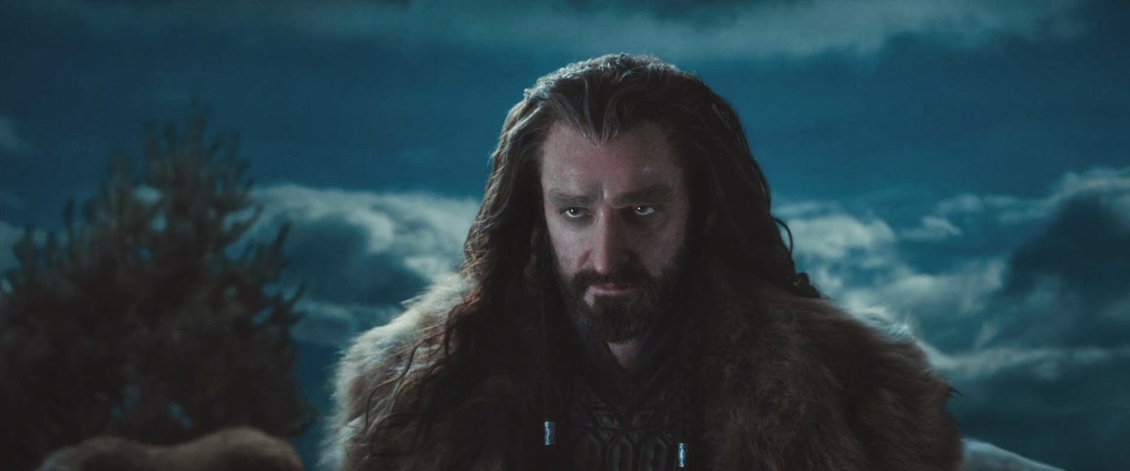 White Rose: Sincere and Simple Thoughts: Thorin Revisited in Pictures ...