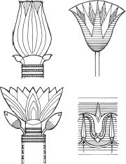 Pharaonic Egypt: Ancient Egyptian Lotus