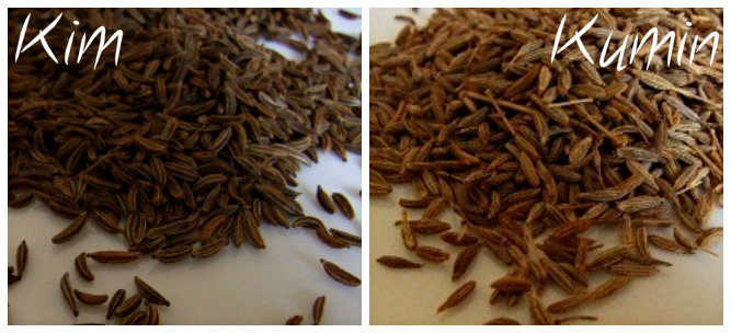 VARJACOM KROZ SVET: KIM I KUMIN - u cemu je razlika?