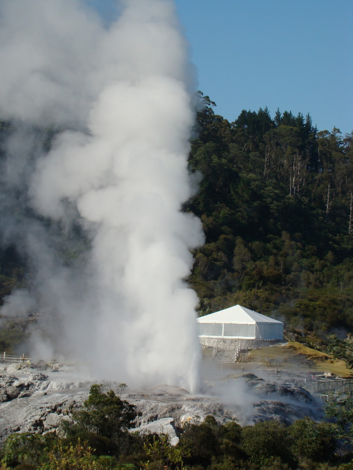 The Very Best Blog Ever!: February 2013