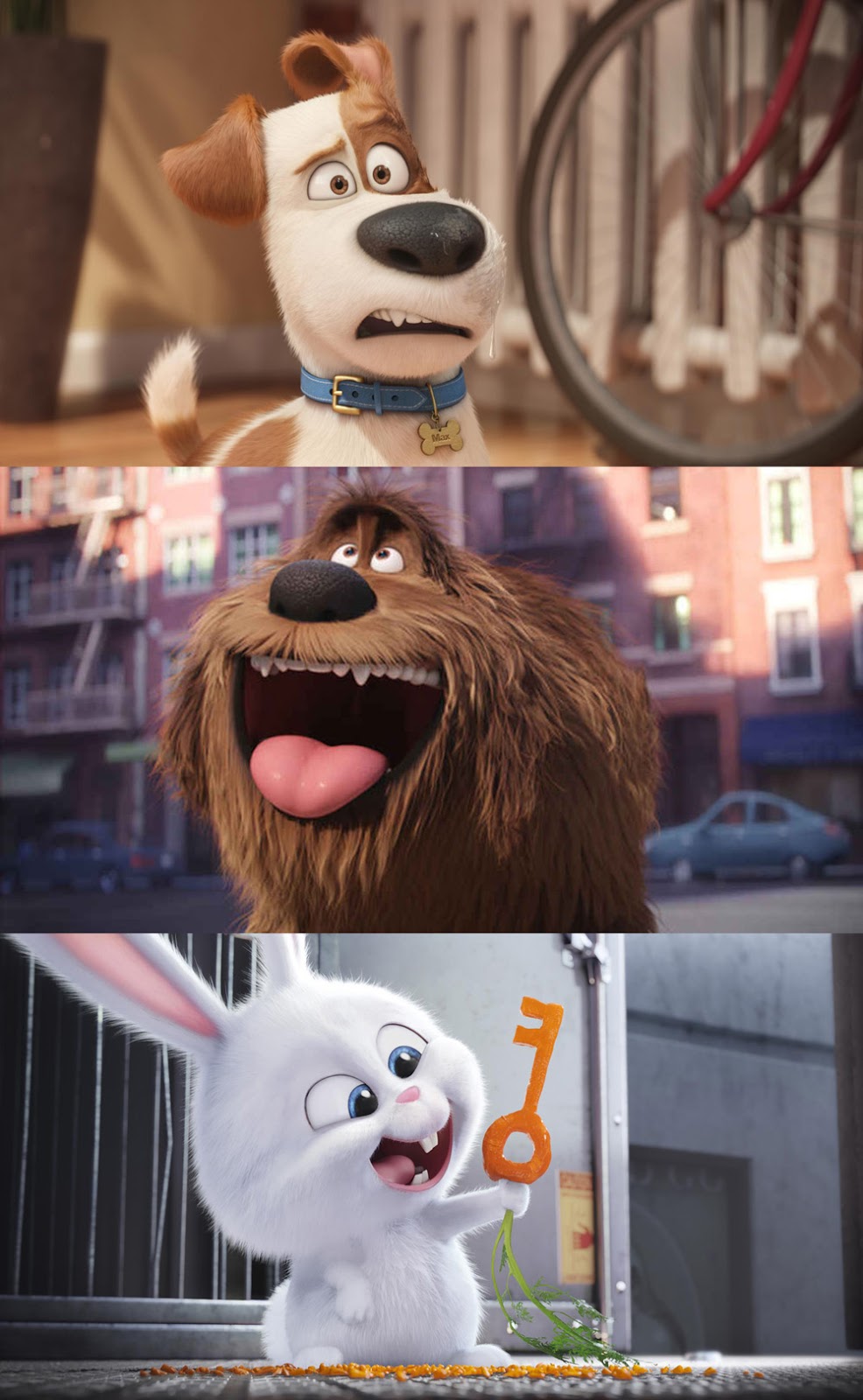 Get to Know the Animals of 'The Secret Life of Pets'