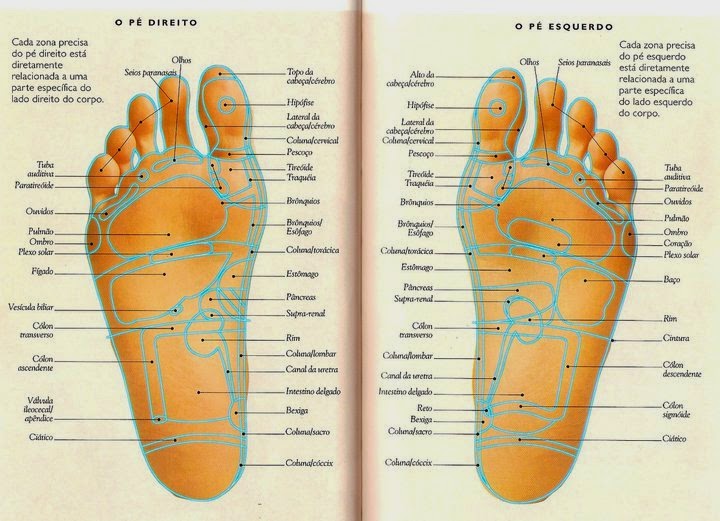 PODOLOGIA: LOS PIES SOBRE LA TIERRA: REFLEXOLOGIA PODAL (MAPAS)