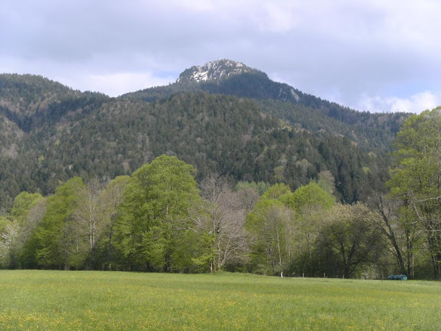 BERGHEIMAT: Geierstein - Denkalm Runde