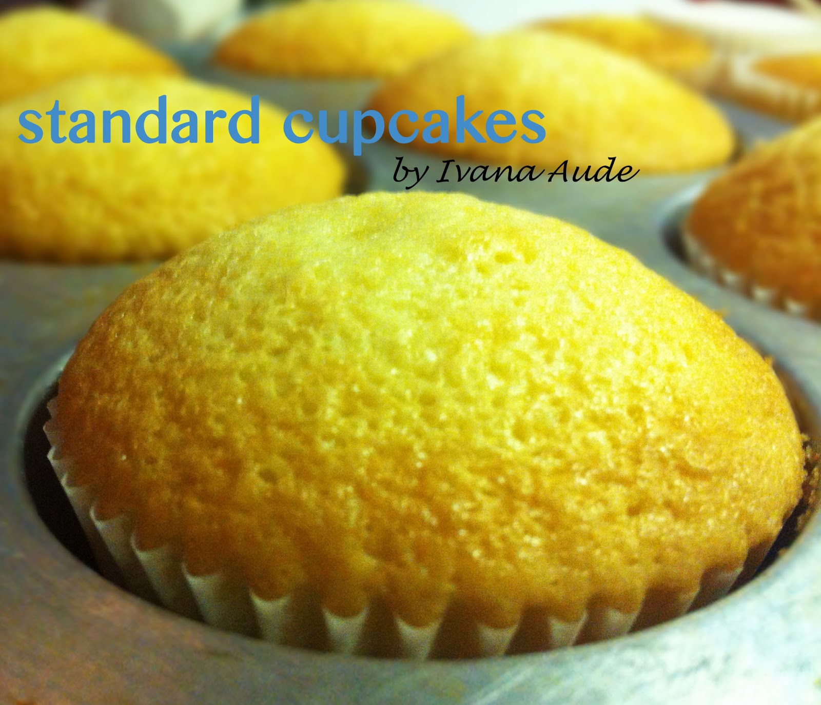 Todología: standard cupcakes.