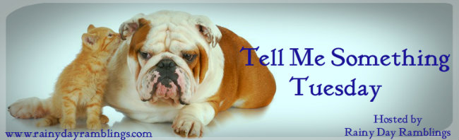 Pika Pages: Tell Me Something Tuesday: Books for Summer