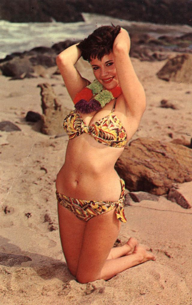 Glamorous Photos Of Beauties In Bikinis At The Beaches In The 1960s